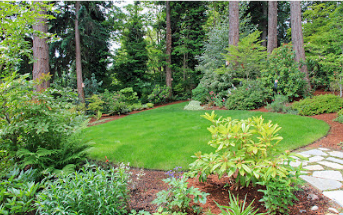 Commit to Stewardship - Rewilding Part of Your Yard - Herring Ponds ...