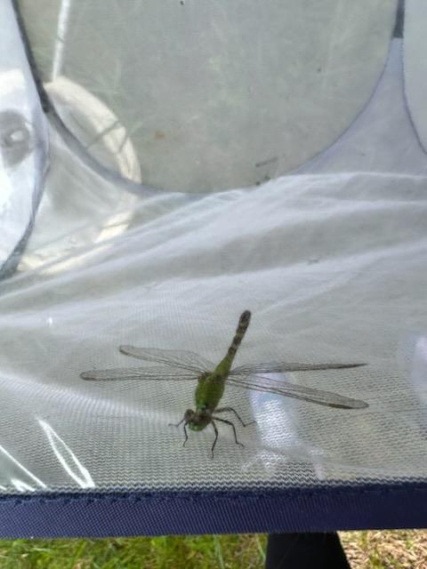 A Look at Recent Events - Herring Ponds Watershed Association