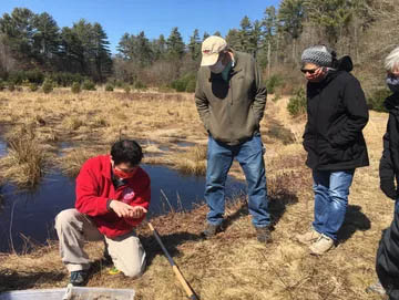 Butterfly and Insect Walk Saturday - Herring Ponds Watershed Association